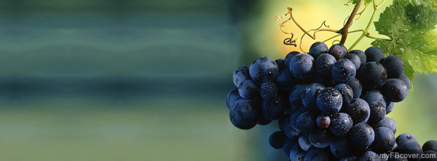 Grapes Facebook Cover | Timeline Cover | FB Cover