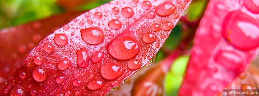 Water Bubbles Facebook Cover | Timeline Cover | FB Cover